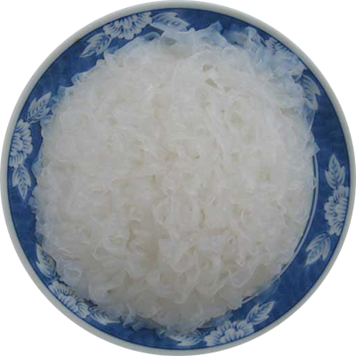 Konjac Foods